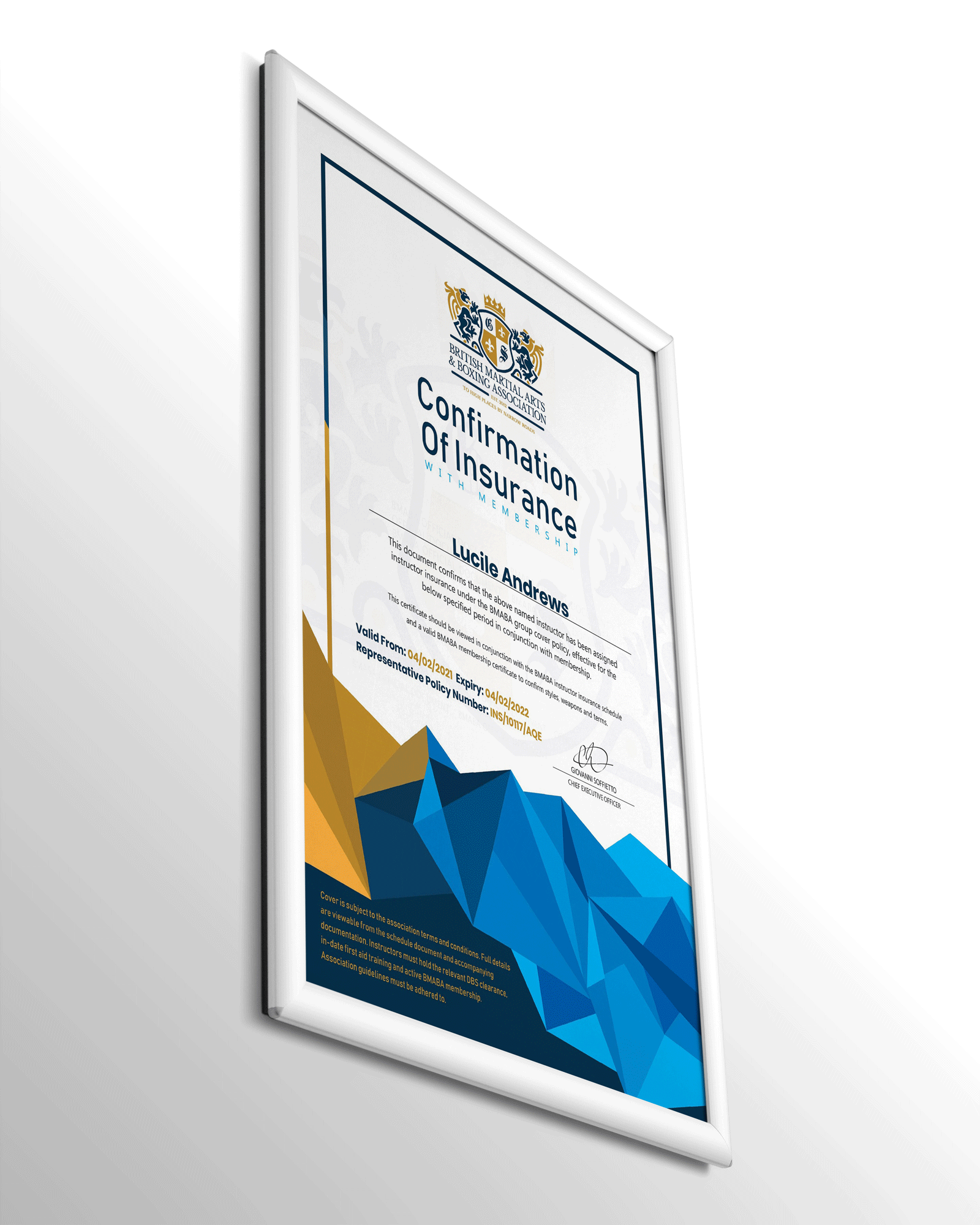 Silver + Insurance (Overview) - British Martial Arts & Boxing ...