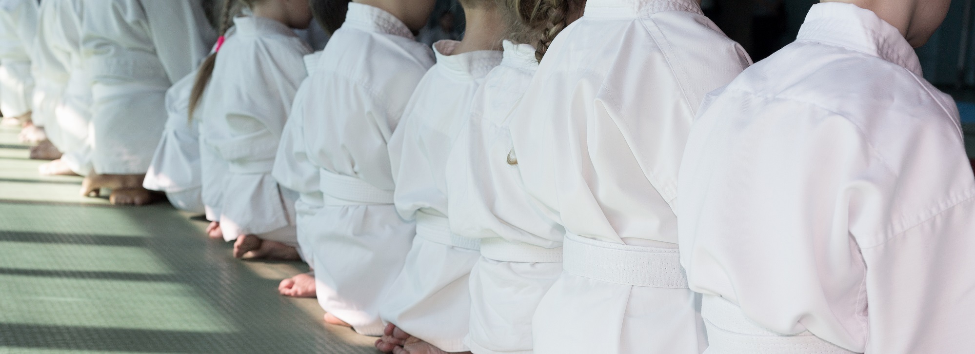 How We're Funded - British Martial Arts & Boxing Association (BMABA ...