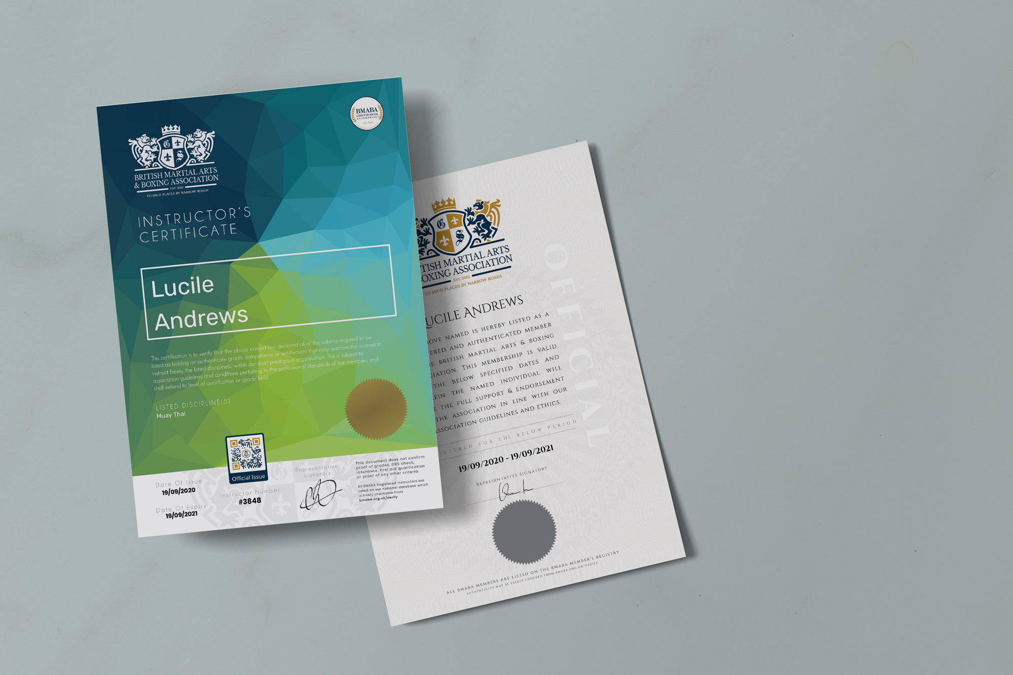 Martial Arts Instructor Certification & Licensing - British Martial ...