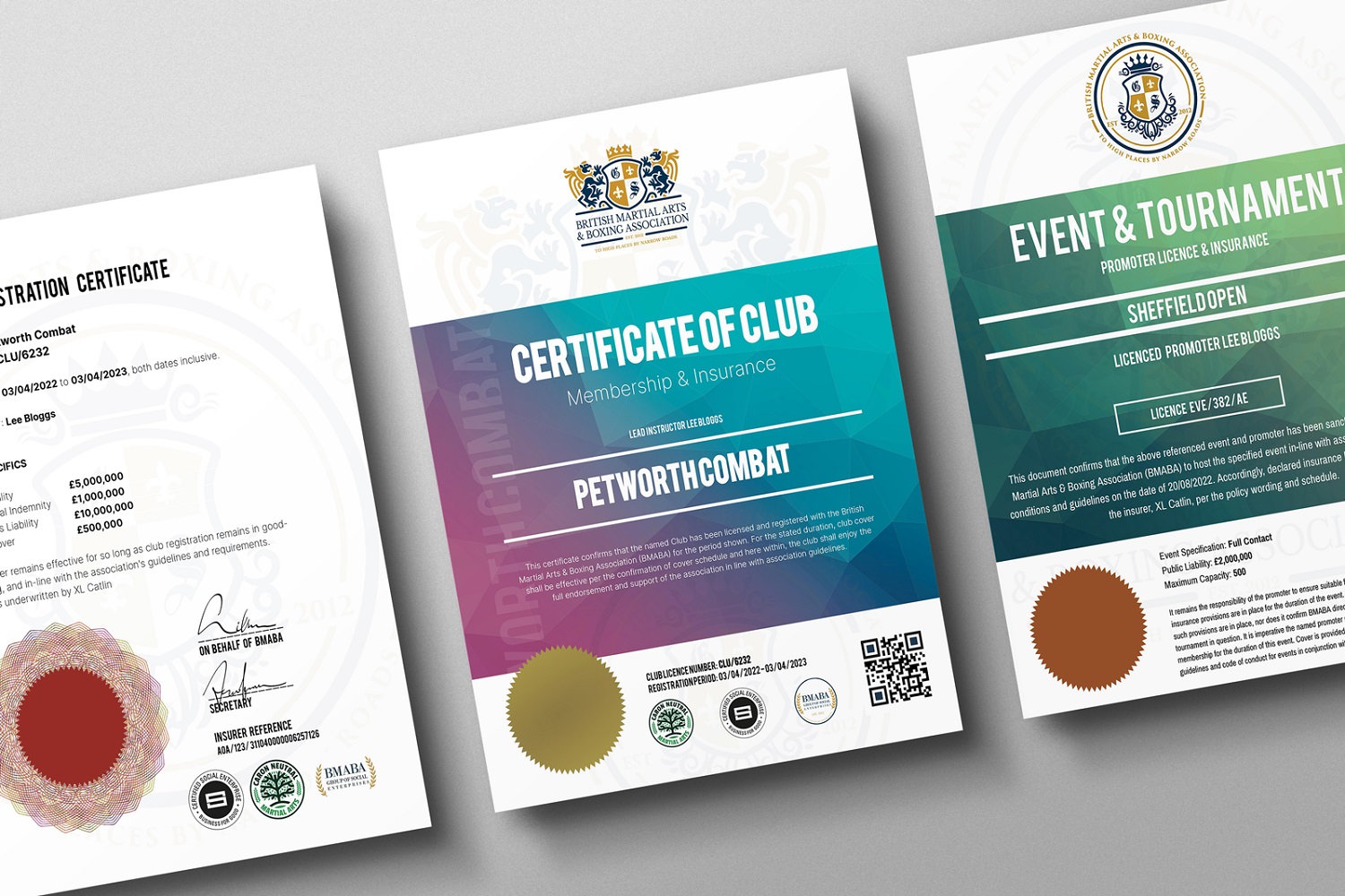 Specialist UK Martial Arts Event Insurance & MMA Fight Night Cover ...